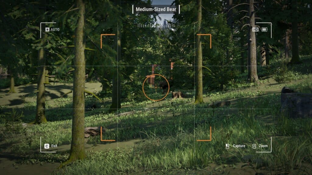 Early Access Review: Ranger’s Path: National Park Simulator